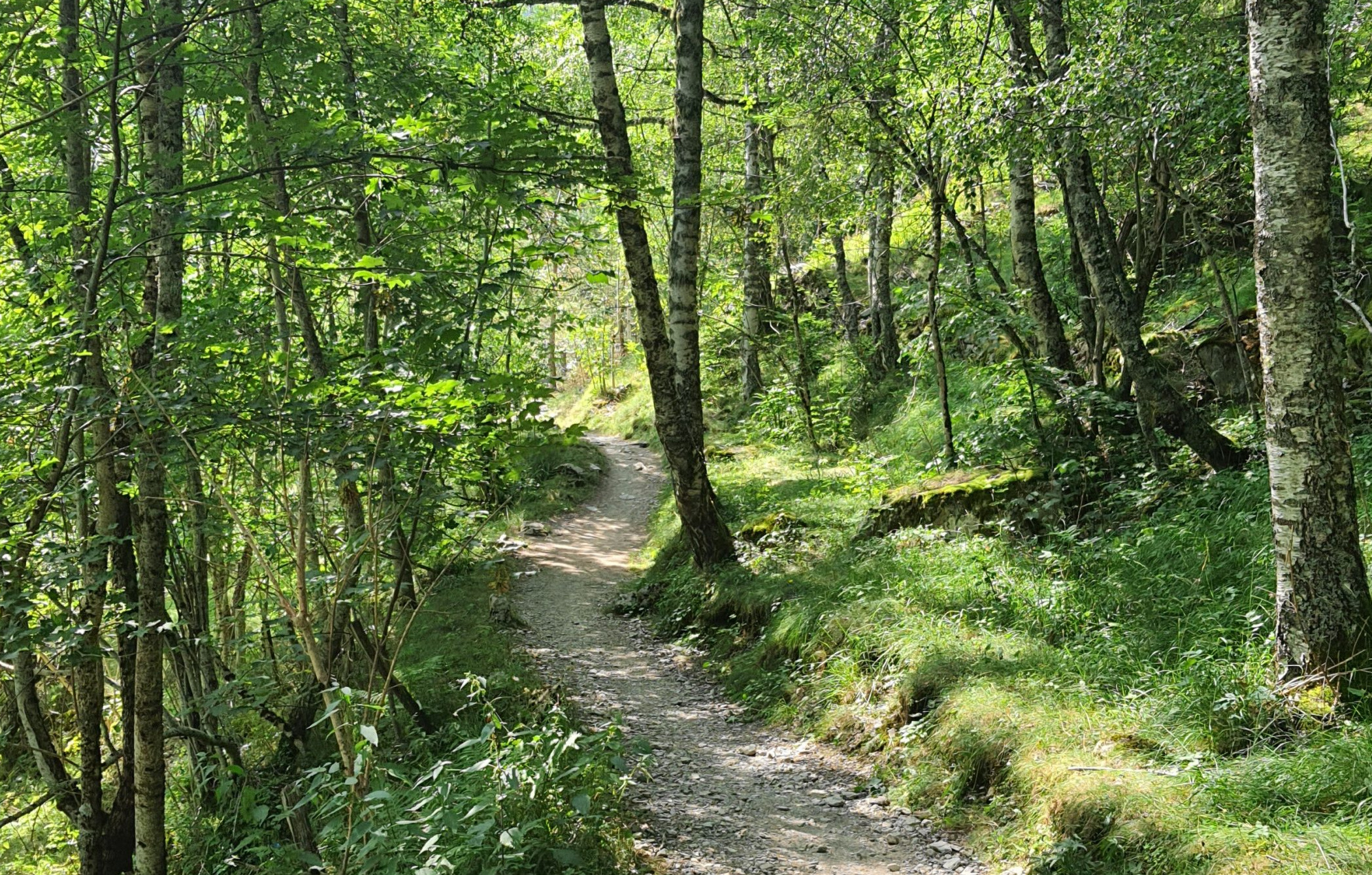 Libération Émotionnelle - Pascal Denis Bazin